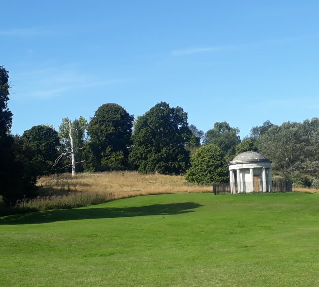 Seasons | Emma Tanner