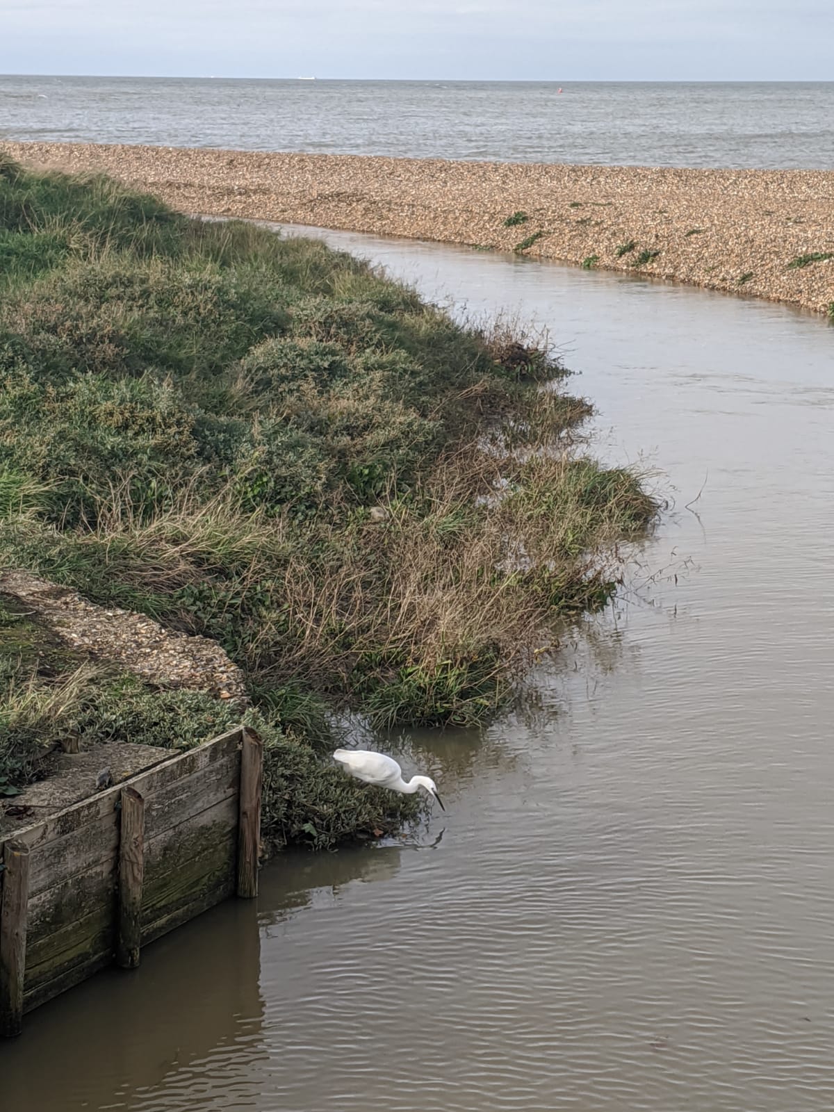 Emma Tanner | A Work in Progress